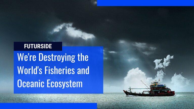 Overfishing: The Ugly Side of Fishing and Can it Become Sustainable