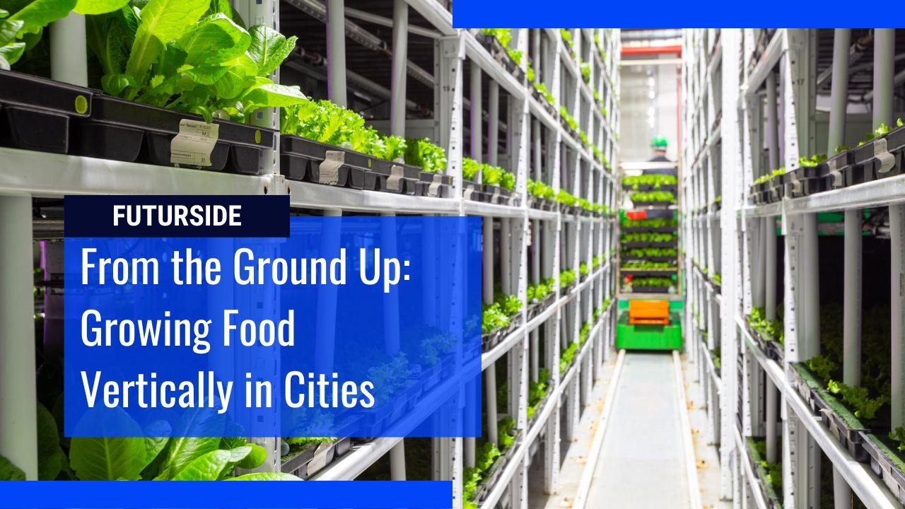 How Vertical Farming Works