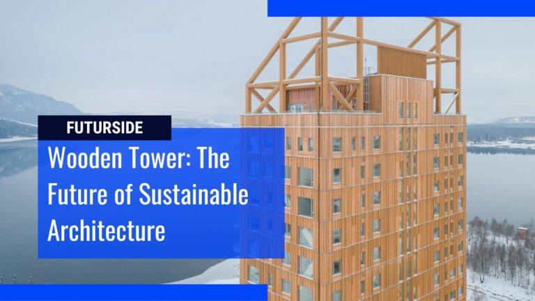 Wooden Buildings: Every Important Thing You Need to Know
